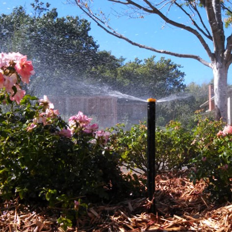 The System – Lawn and Irrigation