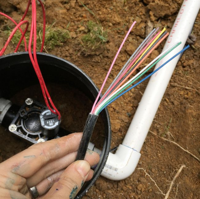 The System – Lawn and Irrigation